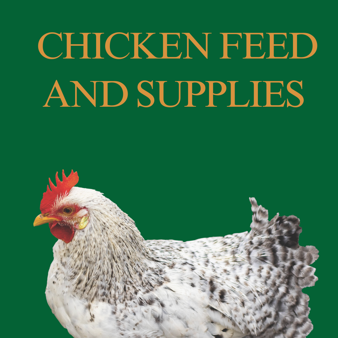 Chicken Feed and Supplies – Hymer Feed Company