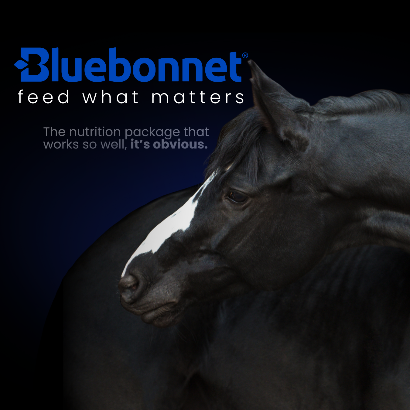 Bluebonnet Feeds – Hymer Feed Company
