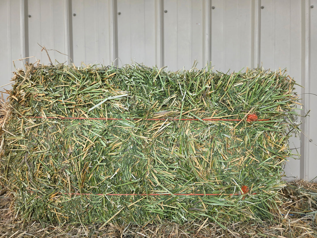 Premium Alfalfa 2 String – Hymer Feed Company