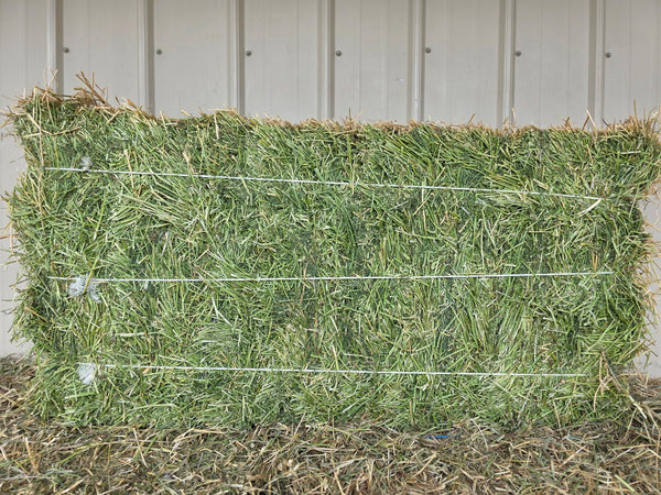 Premium Alfalfa 3 String – Hymer Feed Company