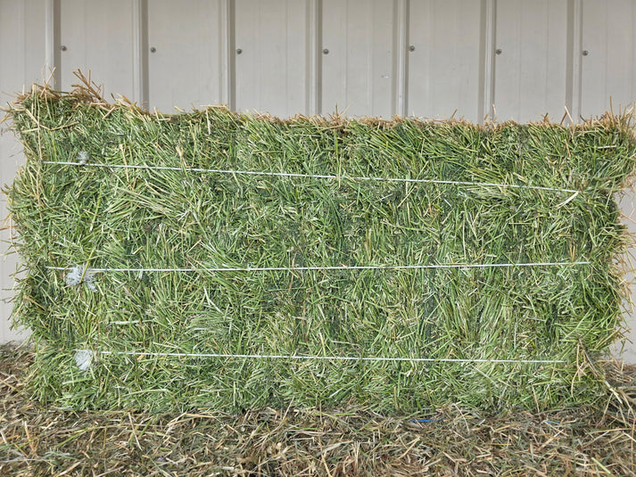 Premium Alfalfa 3 String – Hymer Feed Company
