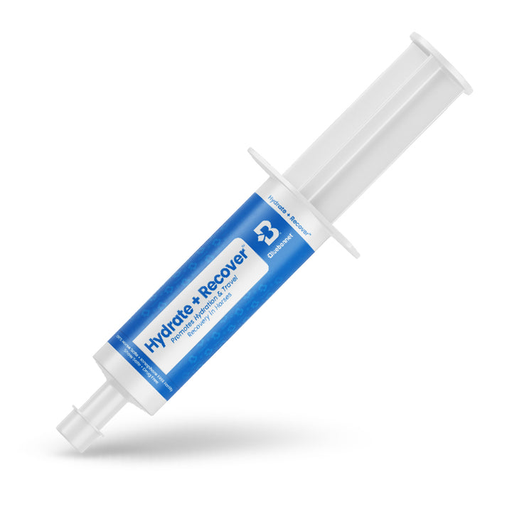 Hydrate + Recover™ Paste (Travel Paste™) – Hymer Feed Company