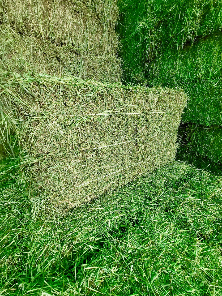 Hay – Hymer Feed Company