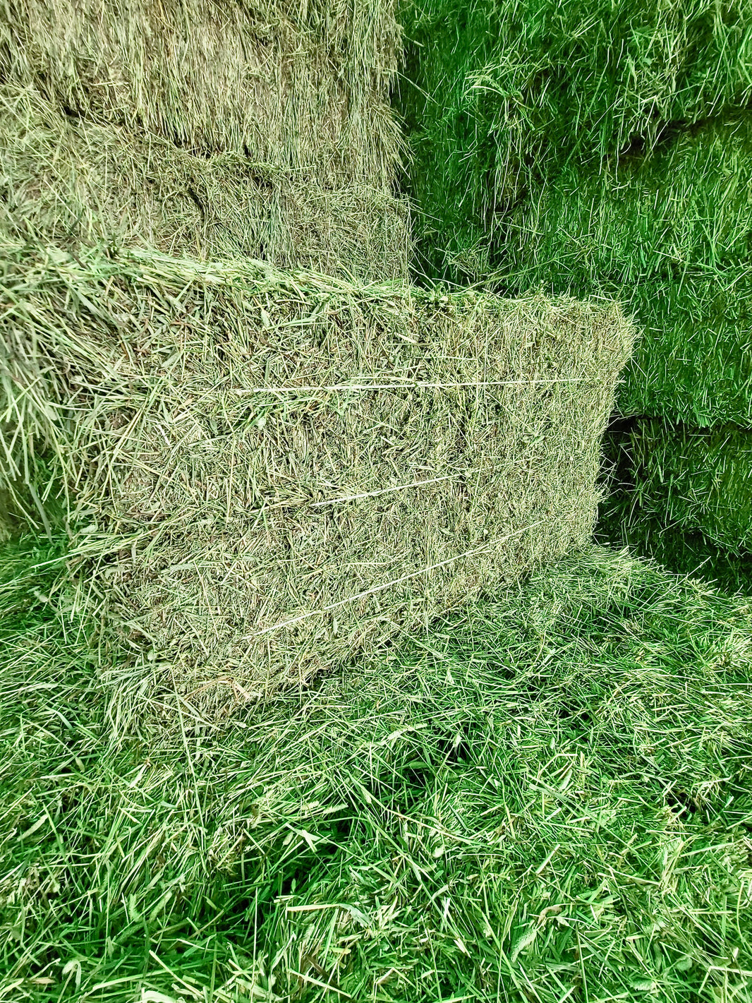 Hay – Hymer Feed Company